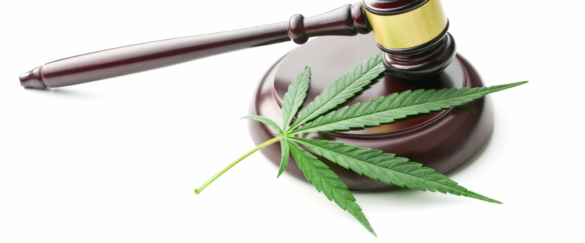 Understanding Medical Cannabis Laws in the UK